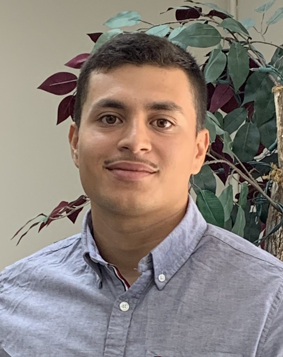 Real Estate Agent in Hollister & San Benito County, CA | Pierce Real Estate